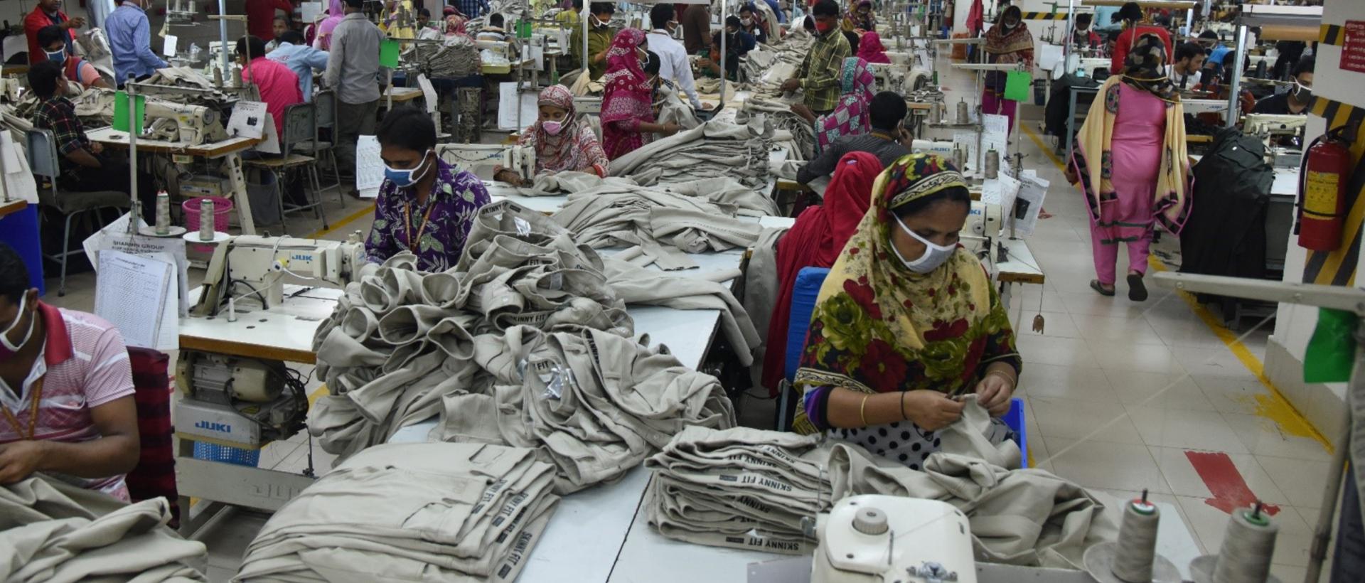 Knowledge platform – Digital Wages